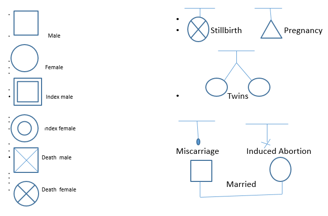 Family Medicine Tools