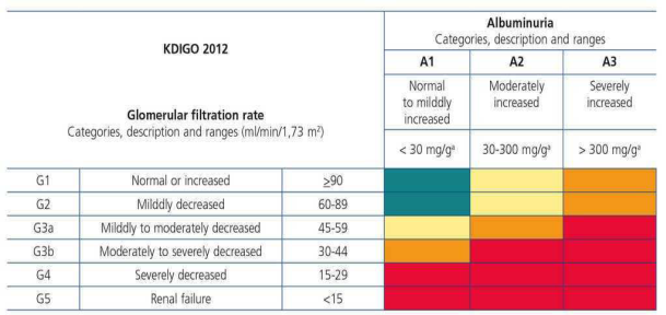 Chronic Kidney Disease (CKD)