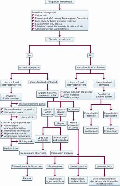 Postpartum Hemorrhage; Prevention and Treatment
