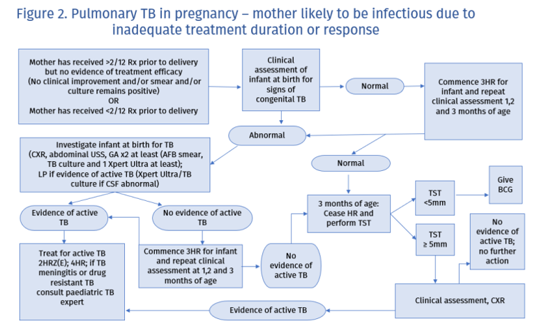 Pulmonary Tuberculosis and Pregnancy