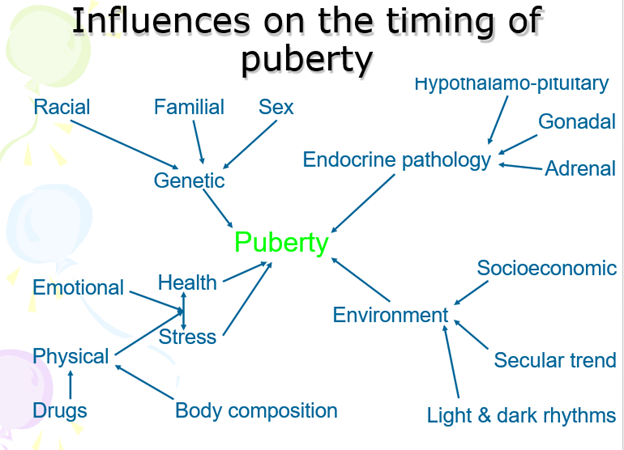 Puberty Disorders